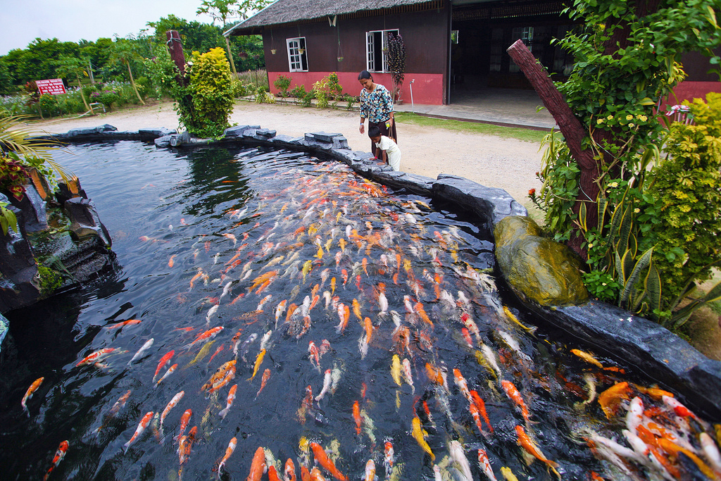 全马最大农业观光胜地 ‧ Desaru Fruits Farm - JOHORNOW 就在柔佛 by NOW MEDIA GROUP SDN BHD